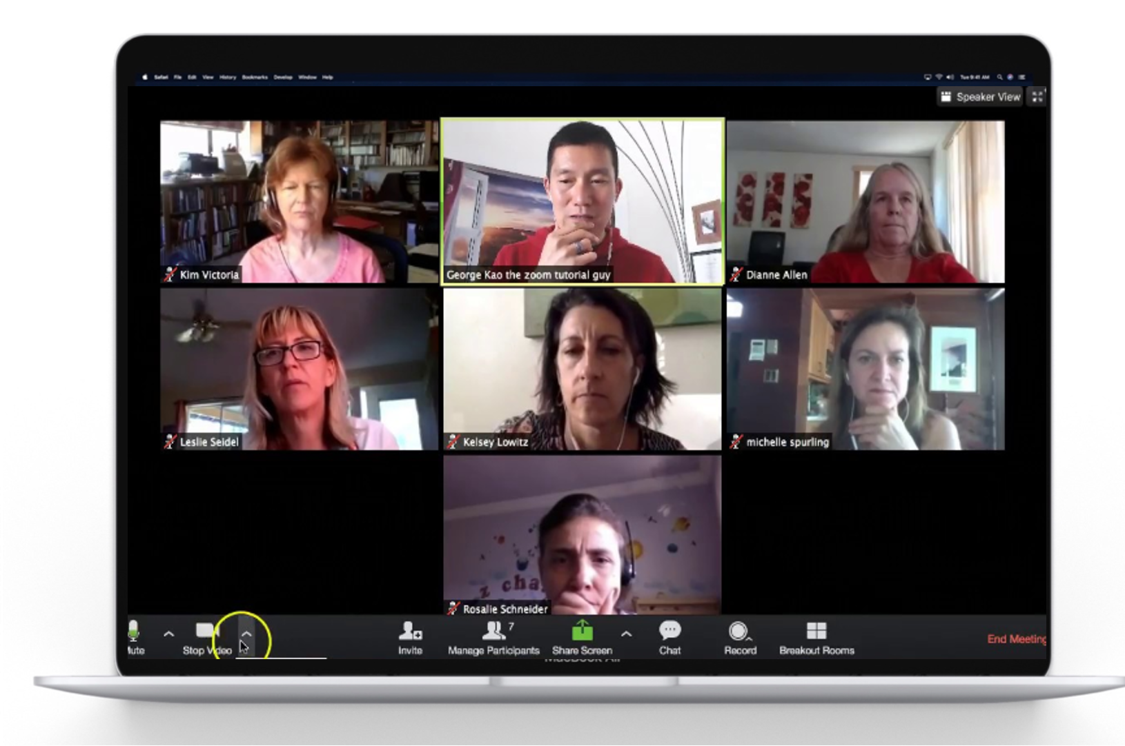 Virtual Lead Manager