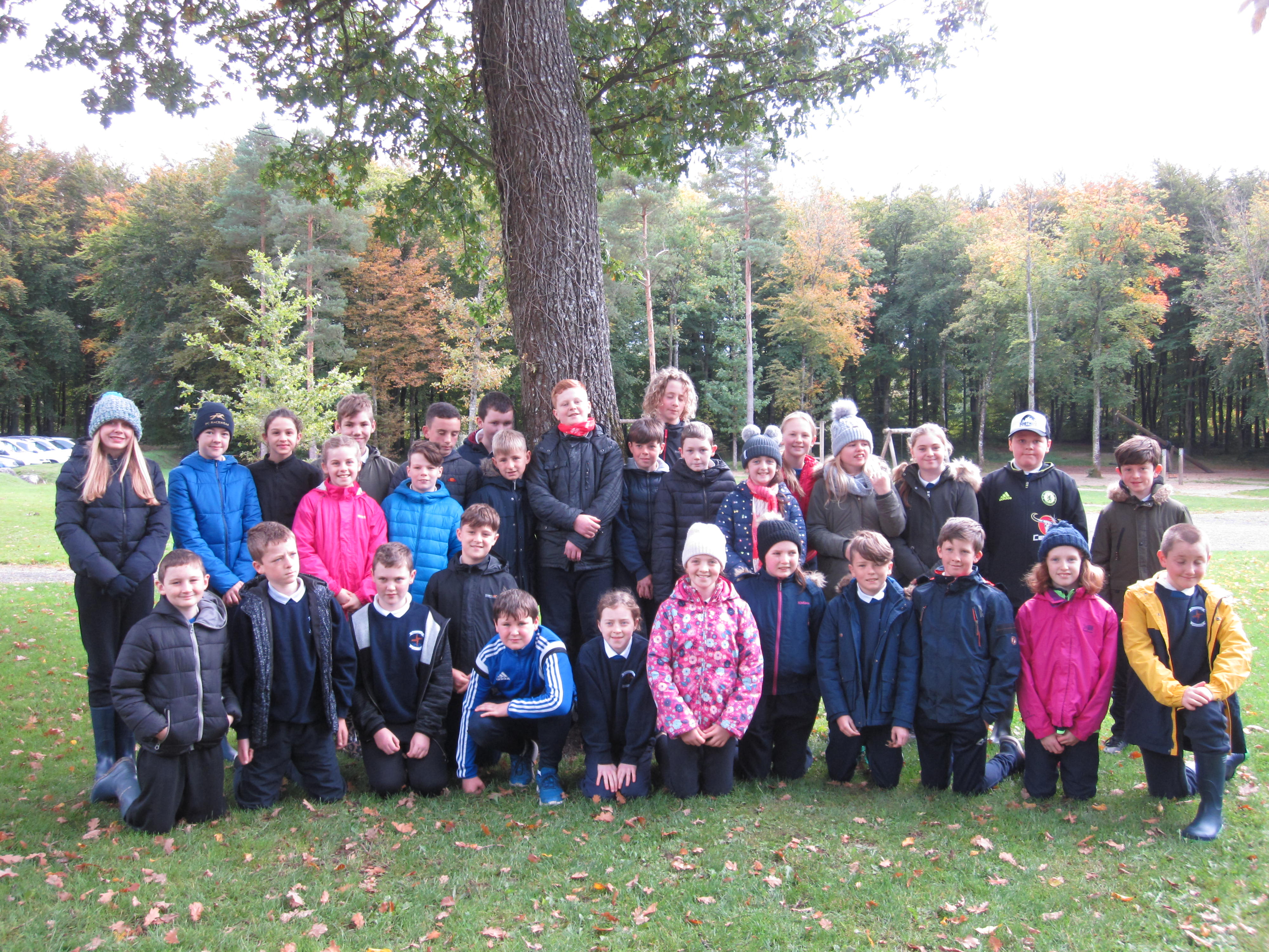 Curragh Chase LEAF workshop / Kilcornan National School