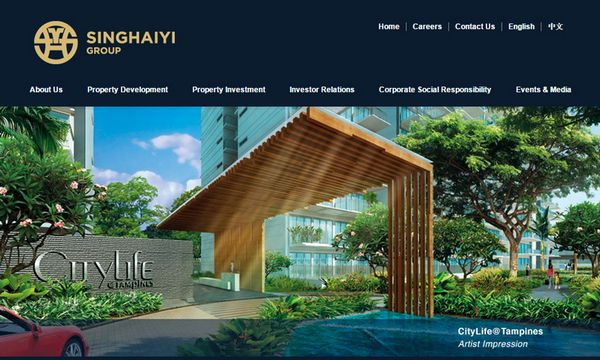 Project: Singhaiyi Group