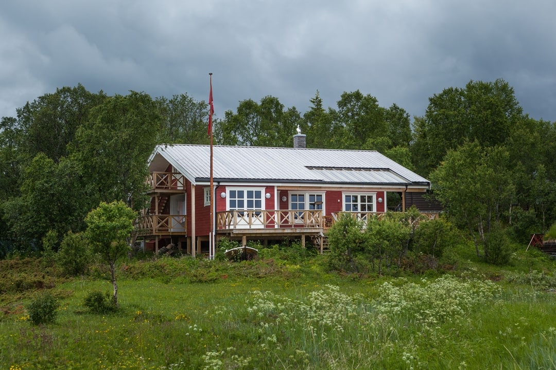 Sæteråsen Sag | Sibirsk Lerk