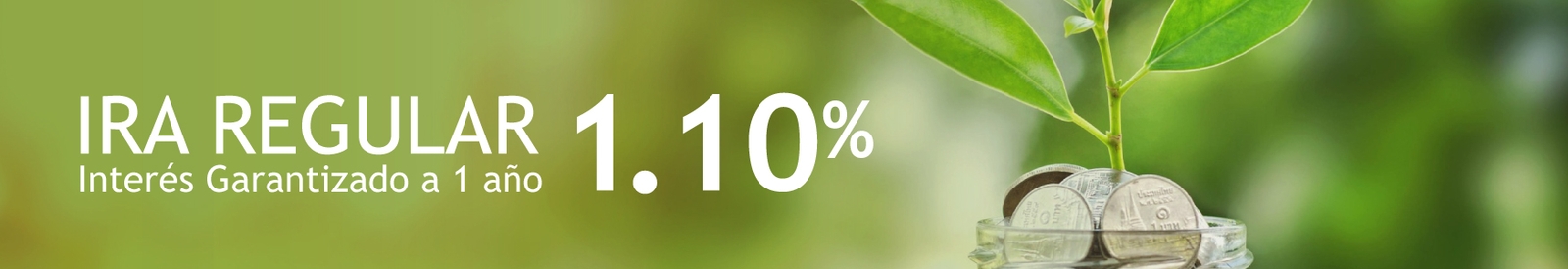 COSVI | Cooperativa de Seguros de Vida