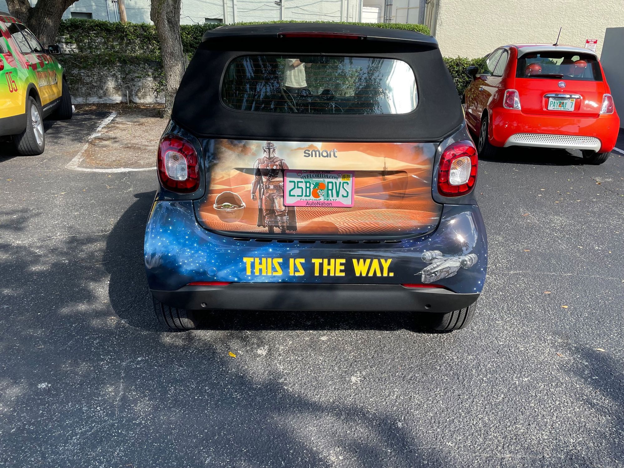 What Are the Different Types of Vehicle Wraps?