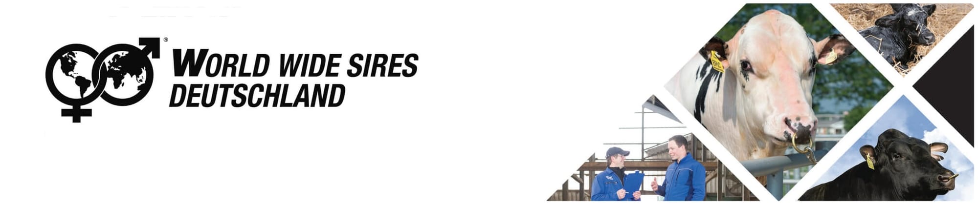 World Wide Sires Deutschland
