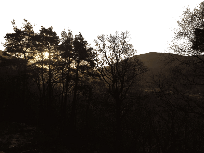 Bosca Beatha Mobile Sauna