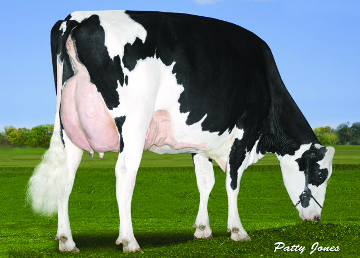 Bulle der Woche: Brewmaster – World Wide Sires Deutschland