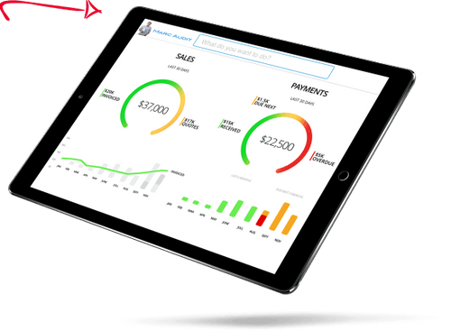 Online Accountant Software - OneUp