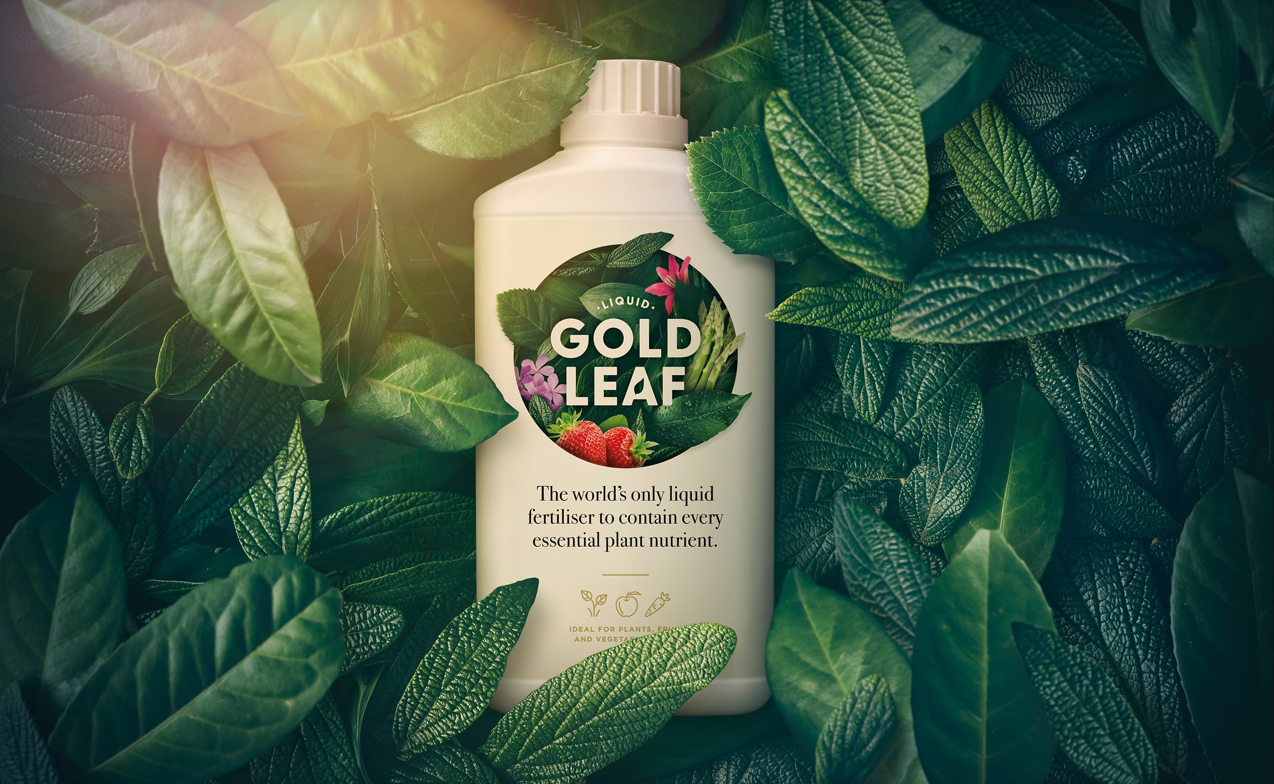 Gold Leaf Branding Case Study | Q+H London