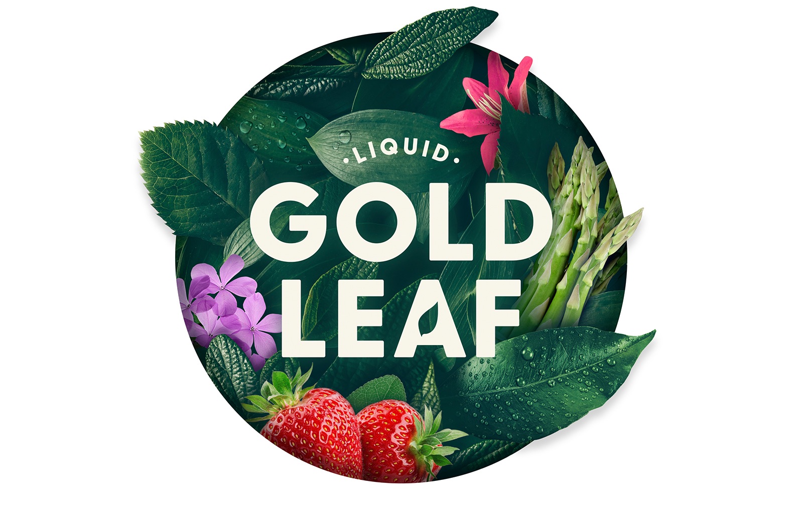Gold Leaf Branding Case Study | Q+H London
