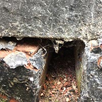 Rodent Proof Services in Rhode Island: RI Rodent Proofing - mouse hole