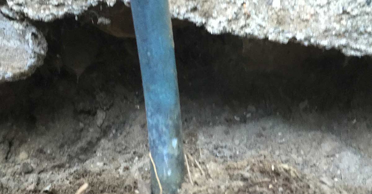 Rodent Proof Services in Rhode Island: RI Rodent Proofing - mouse hole