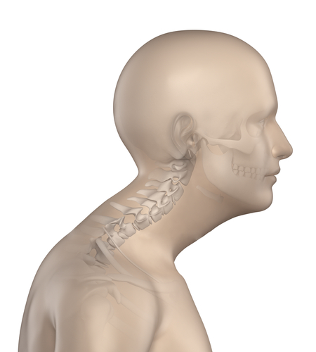 Paul Adamson | Deep Tissue Massage | Blog | Kyphosis – the curved back