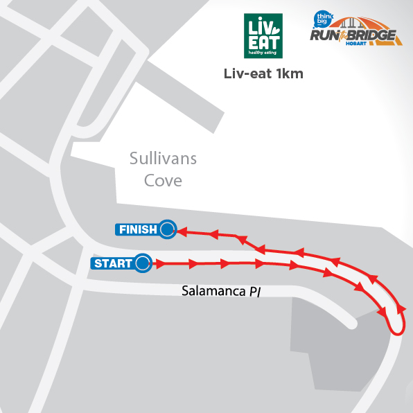 Event Details - Hobart Run the Bridge