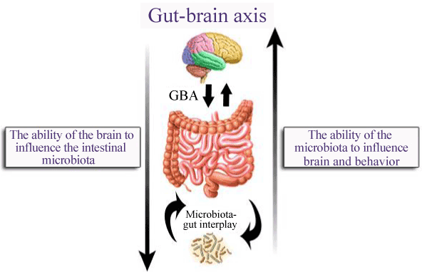 Mindblowing Facts about Your Gut-Brain Connection