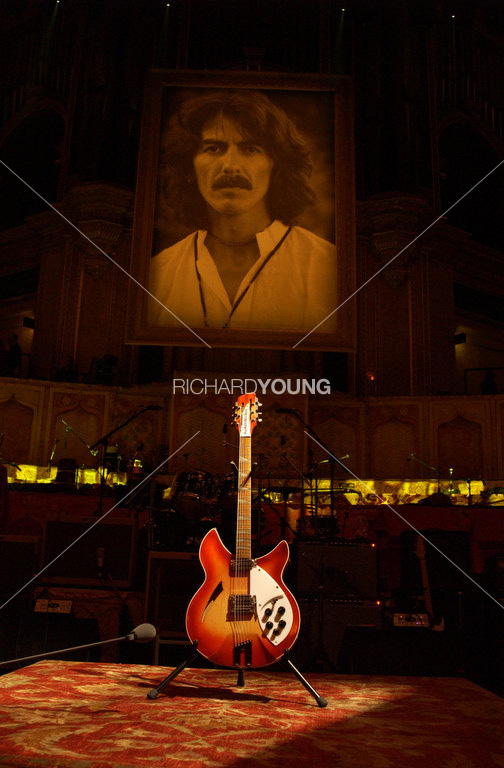 Richard Young Gallery