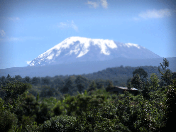 Tanzania | A1 Travel