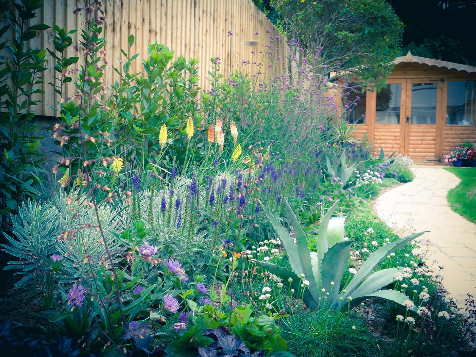 Seaside Garden Design in Sandbanks, Poole | Tom Hill