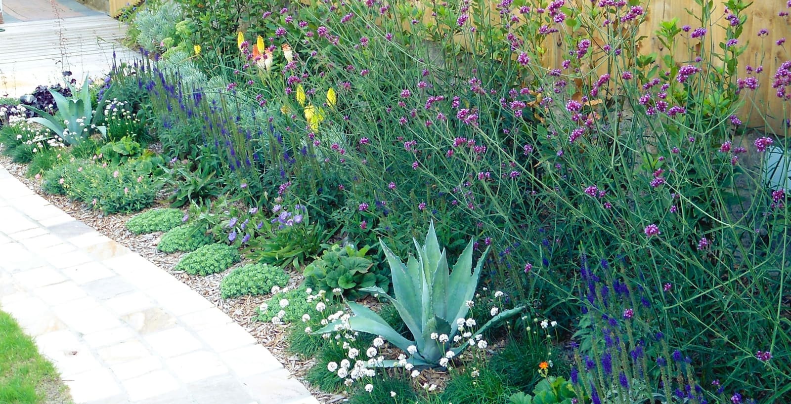 Seaside Garden Design in Sandbanks, Poole | Tom Hill