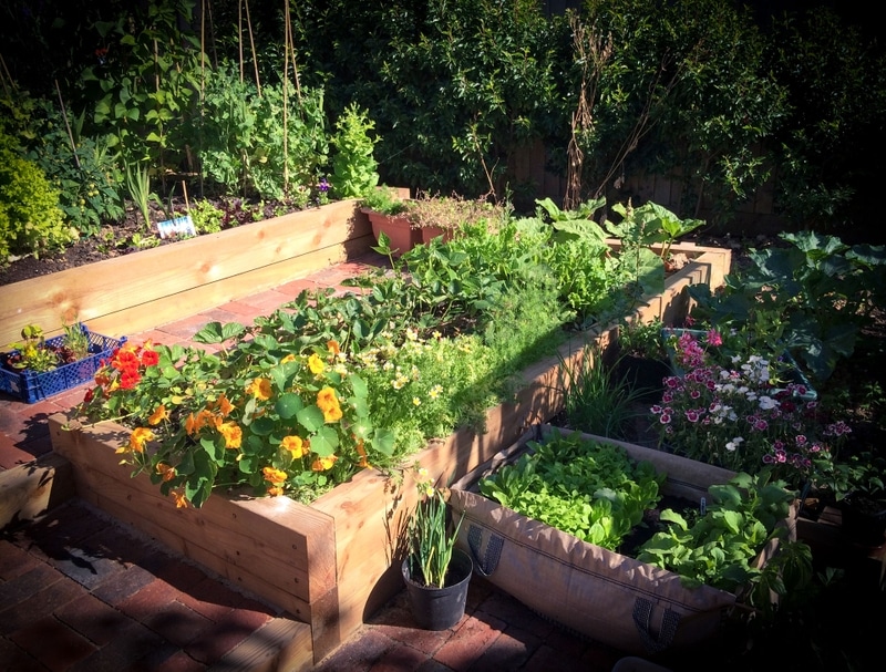 Cottage Vegetable Garden Design, Dorset | Tom Hill