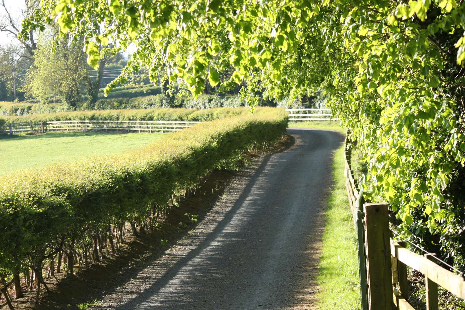Gallery | Oak Tree Farm | Co. Meath, Ireland