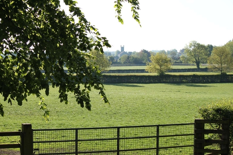 Gallery | Oak Tree Farm | Co. Meath, Ireland