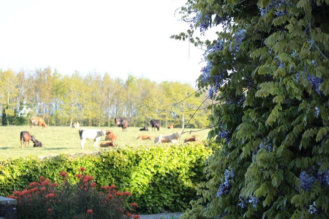 Gallery | Oak Tree Farm | Co. Meath, Ireland