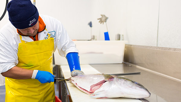 King's Seafood Distribution