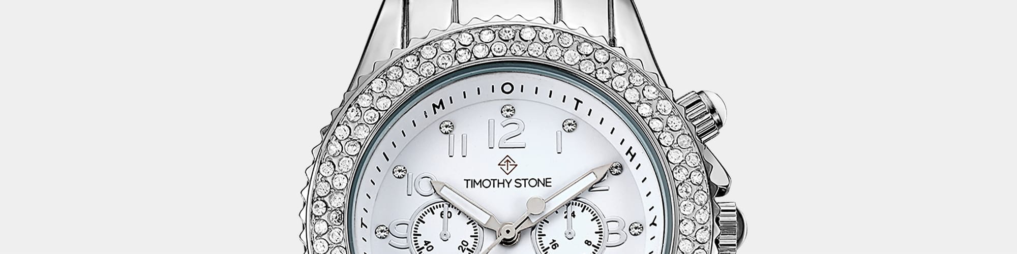 Silver-Tone "Amber Stainless" Watch | Timothy Stone