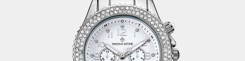 Silver-Tone "Amber Stainless" Watch | Timothy Stone