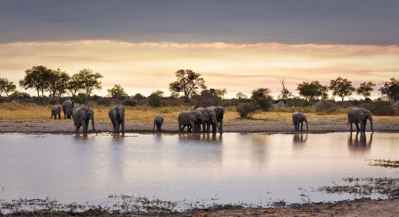 Explore Museum Sandbox Activities - Live Nature Network