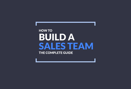 How to Build a Winning Sales Team: The Complete Guide | Propeller CRM Blog