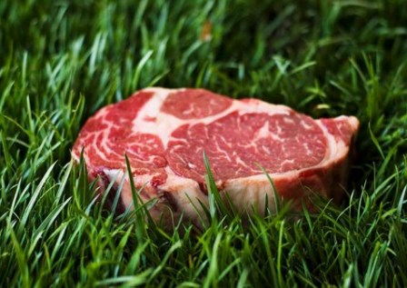 Grass Fed Beef | Healthy Eating And Living