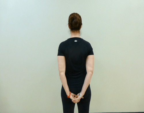 Chest - Stretching, Exercises, & Posture | Work-Fit