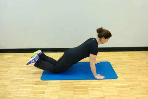 Chest - Stretching, Exercises, & Posture | Work-Fit