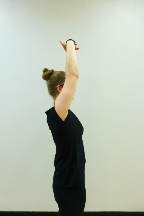 Abdominal & Core - Stretching, Exercises, & Posture | Work-Fit