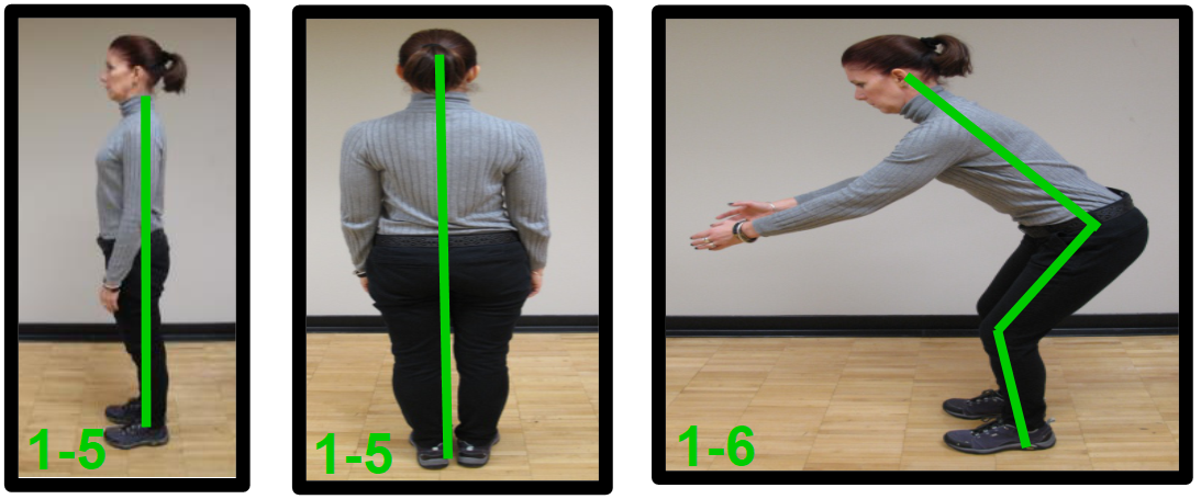 Lower Back - Stretching, Exercises, & Posture | Work-Fit