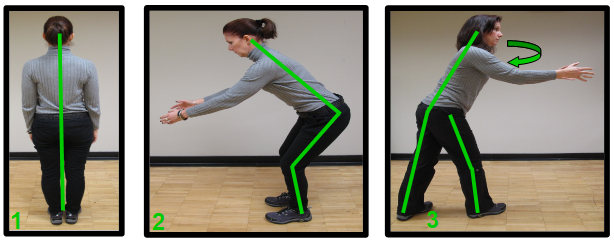 Hips - Stretching, Exercises, & Posture | Work-Fit