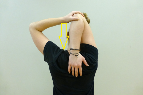 Elbow - Stretching, Exercises, & Posture | Work-Fit