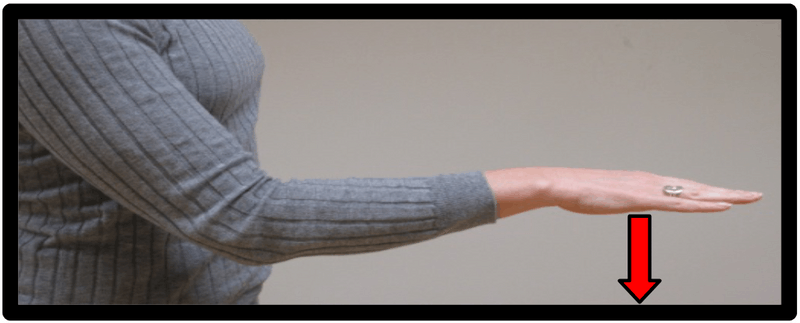 Elbow - Stretching, Exercises, & Posture | Work-Fit