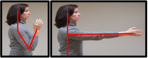 Elbow - Stretching, Exercises, & Posture | Work-Fit