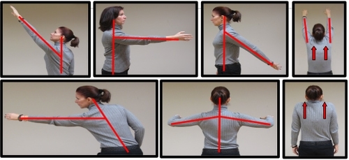 Shoulders - Stretching, Exercises, & Posture | Work-Fit