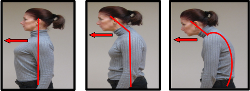 Chest - Stretching, Exercises, & Posture | Work-Fit