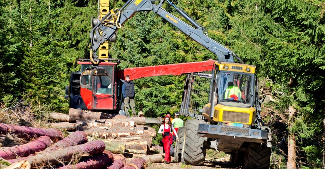Injury Prevention Within the Logging Industry | Work-Fit Blog