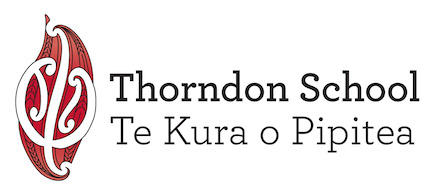 Thorndon School