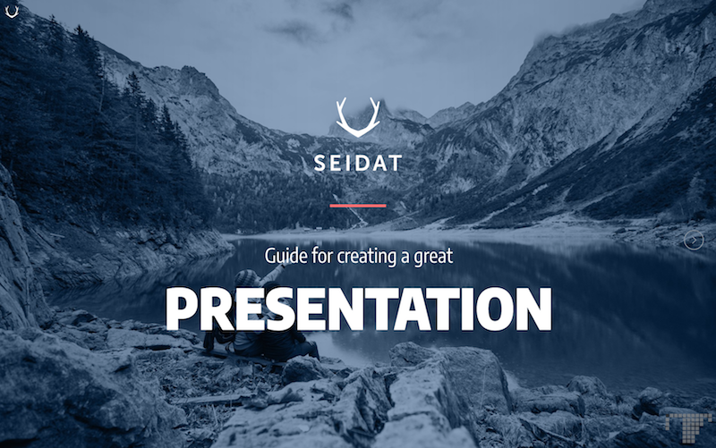 Seidat - Slide Deck Platform for Business Teams