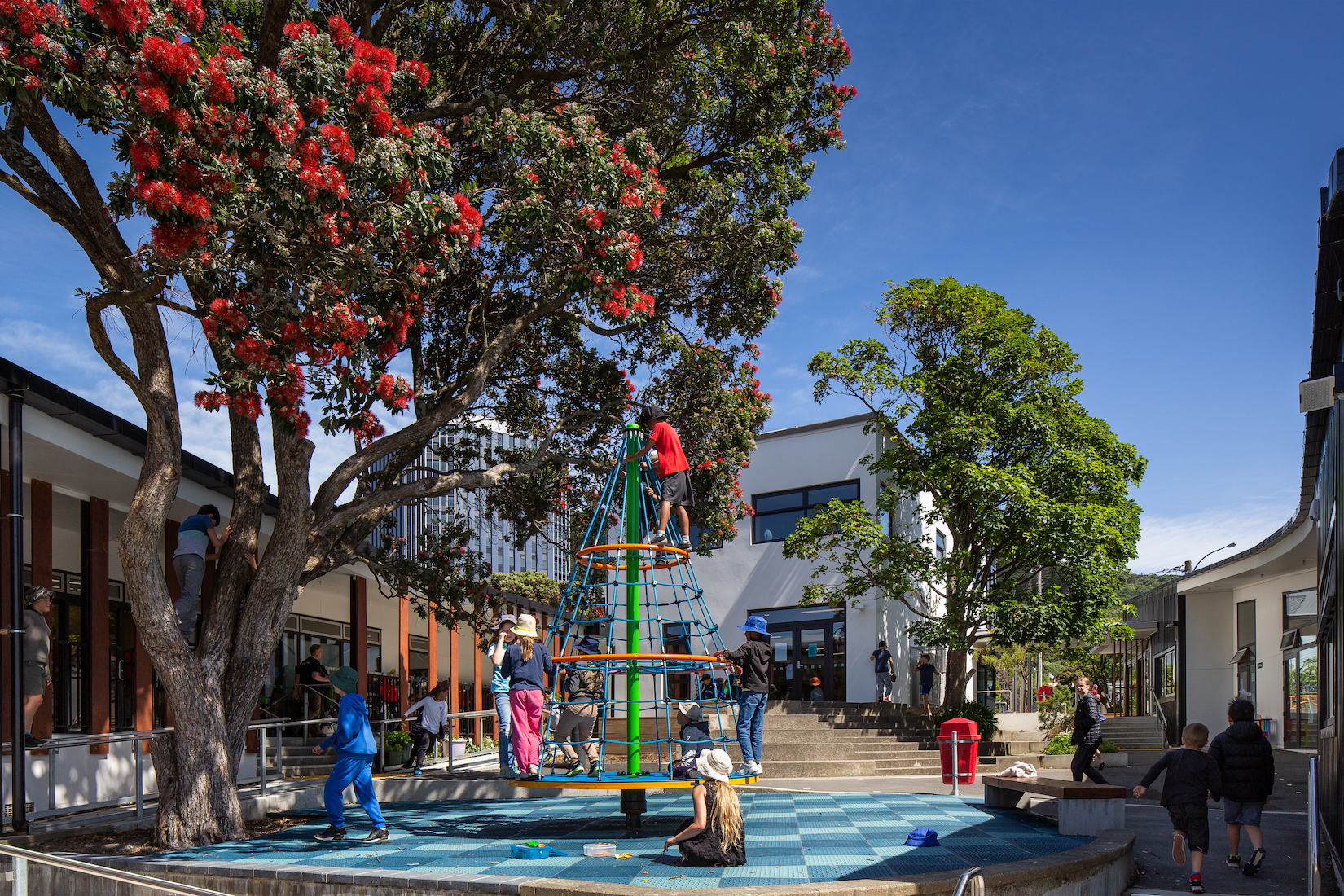 Thorndon School