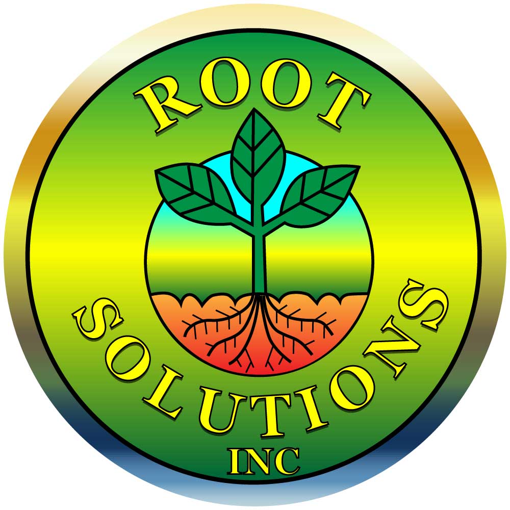 About Us | CarbonWorks