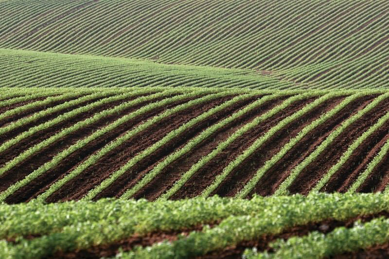 Netafim: Partnering With The Global Leader In Drip Irrigation