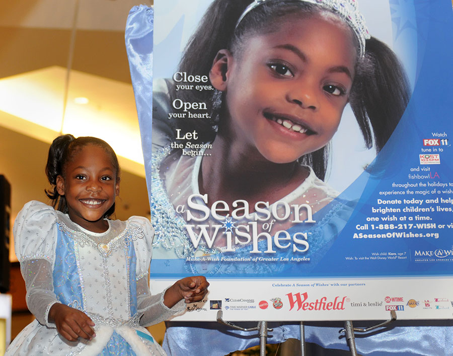 The Pollack Group | Make-A-Wish Foundation