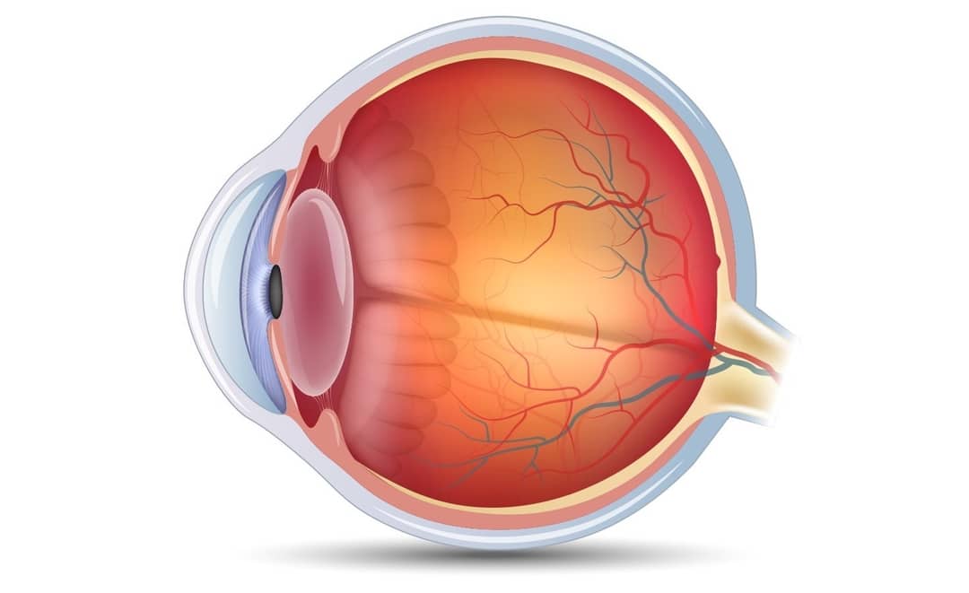 L+Z Optik – Wissenswertes von Ihrem Optiker