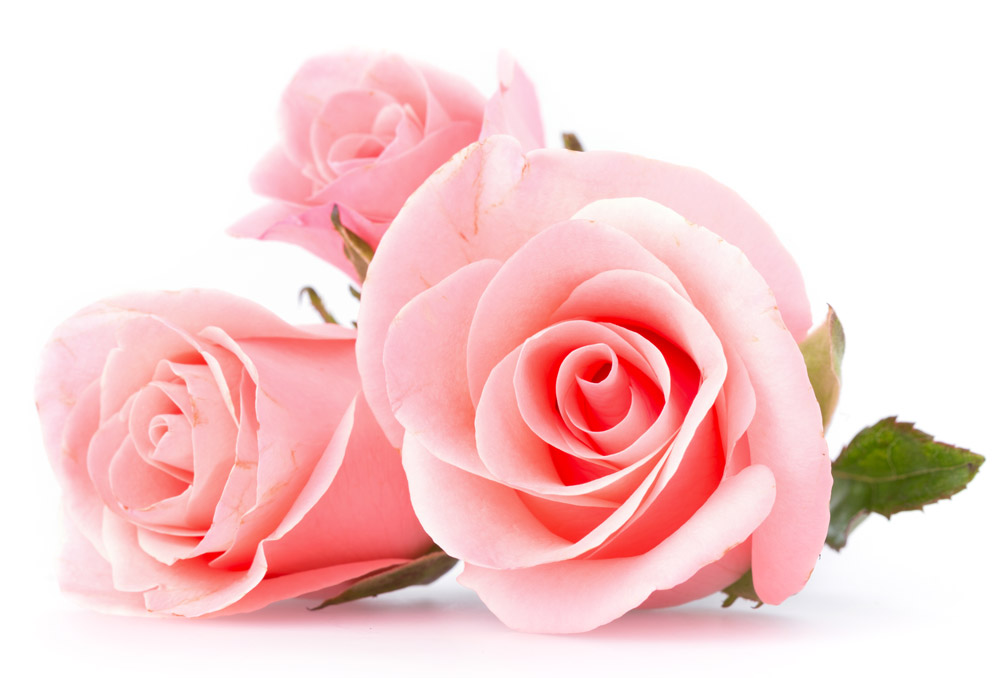 IRTON HALL | The Lake District’s Hidden Jewel